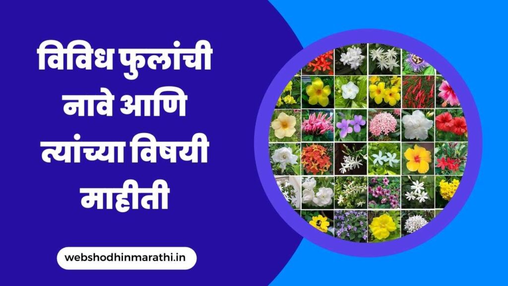 फुलांची माहीती | Flowers Information In Marathi - वेब शोध