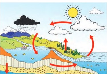 Water cycle - जलचक्र म्हणजे काय ? प्रक्रिया आणि टप्पे. Water cycle ...